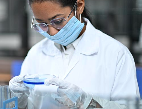 MGM University | Private University