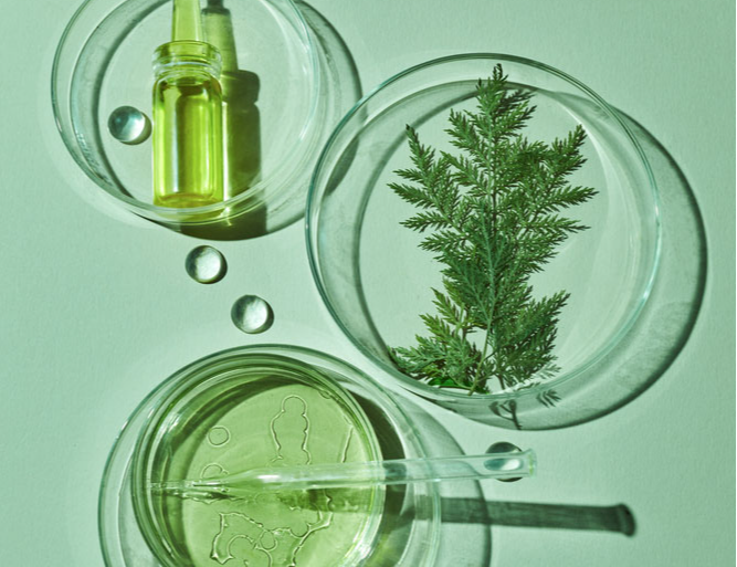 MGM University | Private University