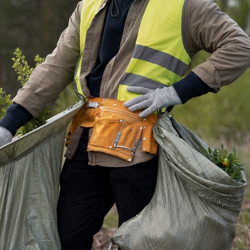 MGM University | Private University