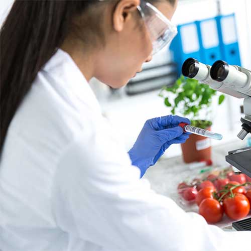 MGM University | Private University