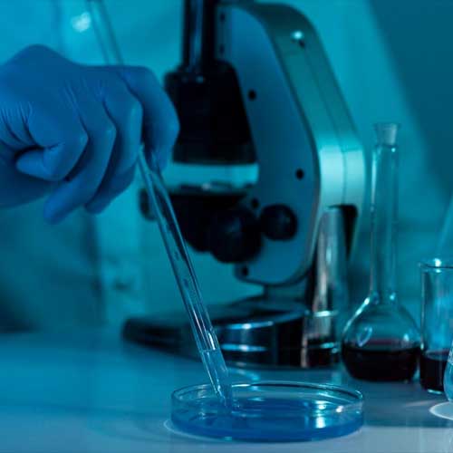 MGM University, Chh. Sambhajinagar | Multidisciplinary NEP 2020 Aligned ...